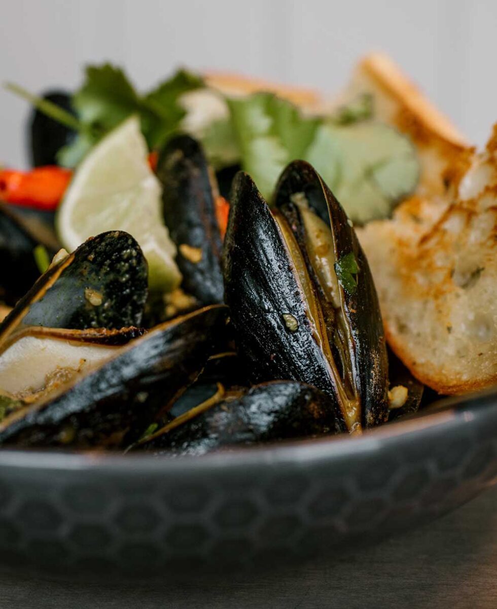 Sammy J's Restaurants